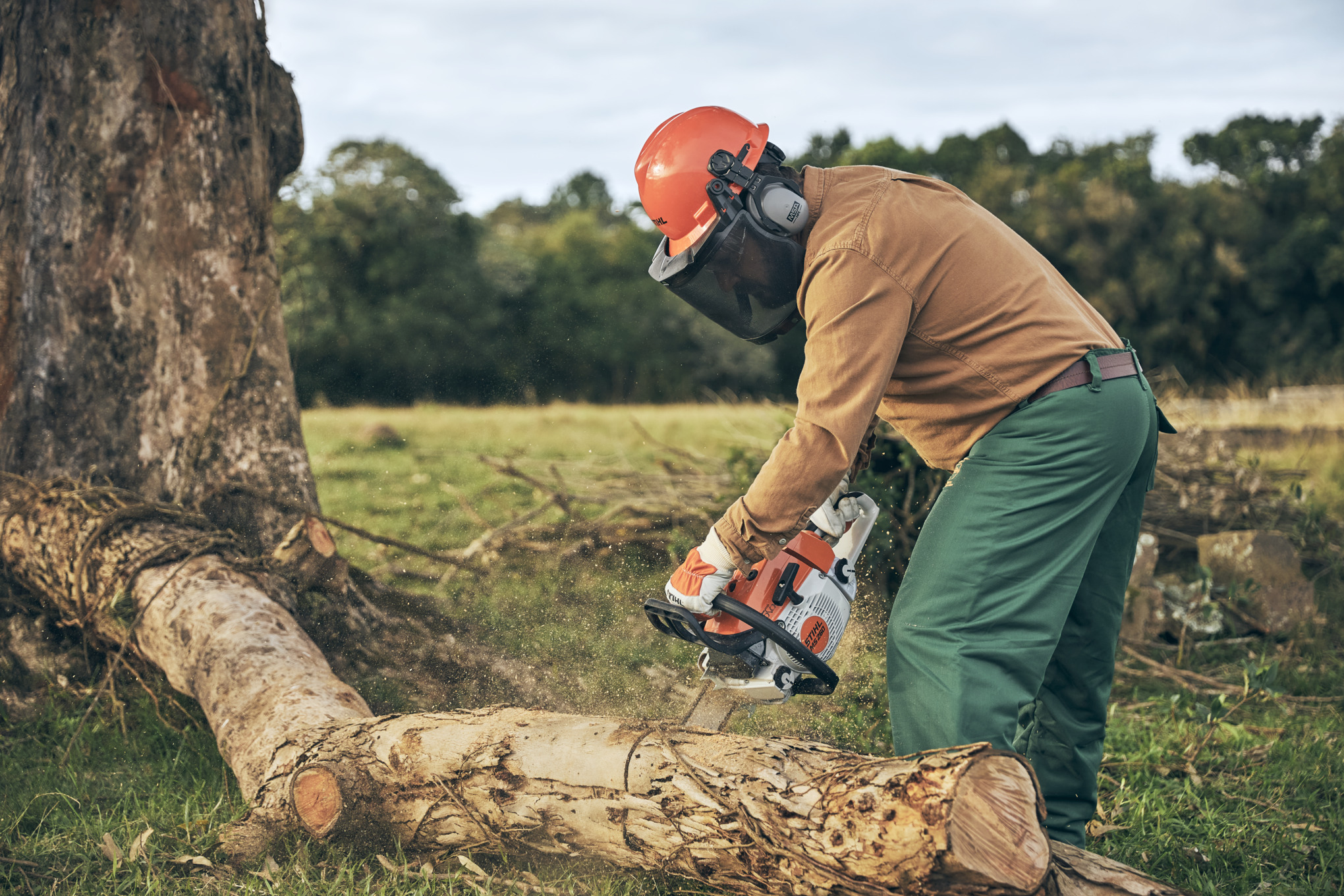 MS 260 | Motosierra a gasolina | STIHL